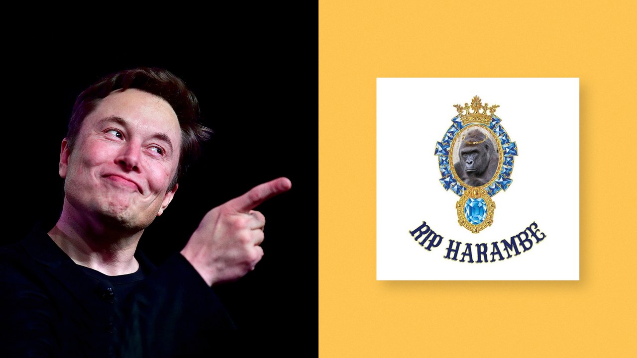 Elon Musk releases new rap single! - Celebrity Gossips, Hollywood and ...